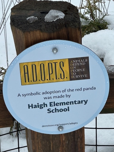 Check out Haigh at the Detroit Zoo! – Haigh Elementary School